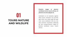 300 Text Website Designs