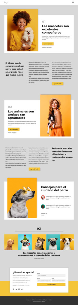 10,000+ Plantillas HTML5 | Plantillas HTML5 gratuitas