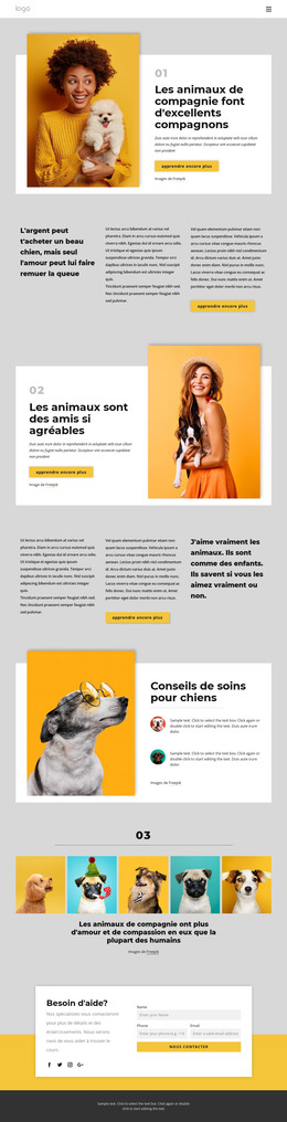 10,000+ modèles de sites Web | Modèles de sites Web gratuits