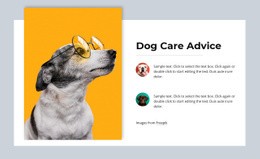 Pets & Animals Html Code Examples