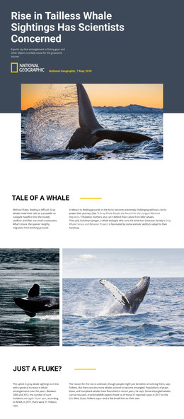 Pictures of nature HTML Template