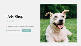 Dog school contacts HTML Template