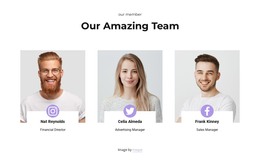 240 Team HTML Templates