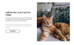 Pets & Animals CSS Templates