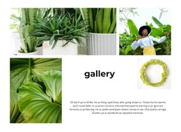 220 Gallery HTML Templates