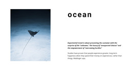 Ocean HTML Templates