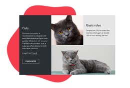 Cute CSS Templates