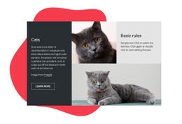 Pets & Animals Html Code Examples