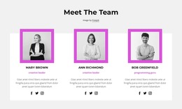 230 Team HTML Templates