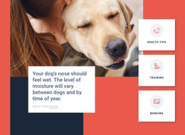 Dog school contacts HTML Template