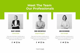 Business leading team Website Template