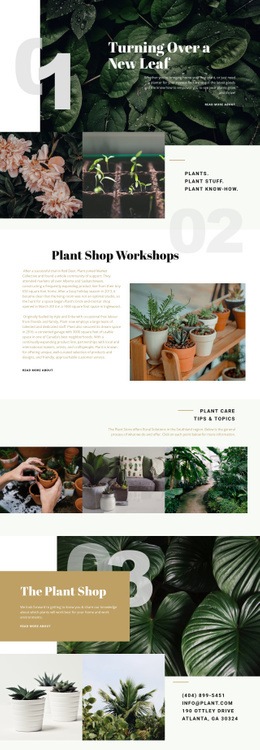 Wildlife and nature Html Code Example