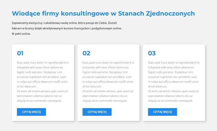 Trzy bloki tekstu Szablon CSS