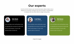 Data Website Templates