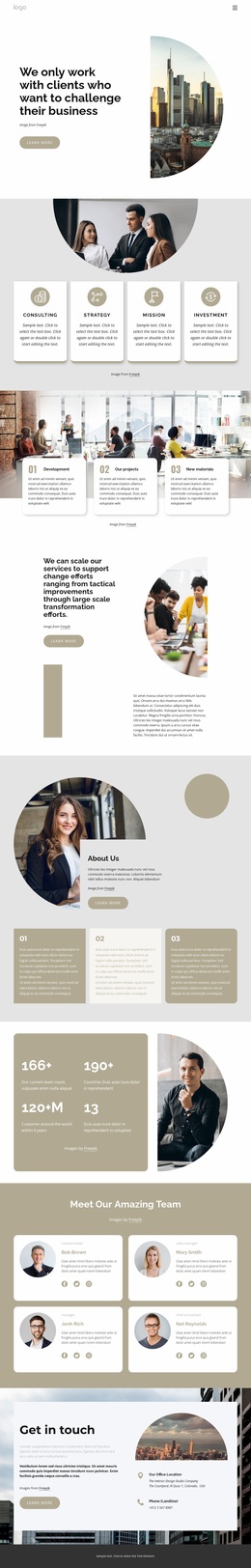 Business women entrepreneurs Website Template