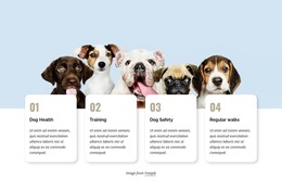 240 Pets & Animals HTML Templates