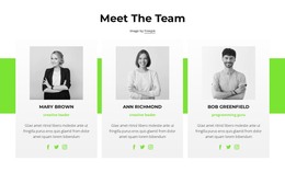 230 Team HTML Templates