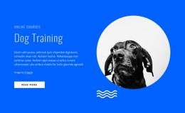 Pets & Animals Html Code Examples