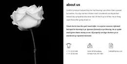 290 About Us Html Code Examples