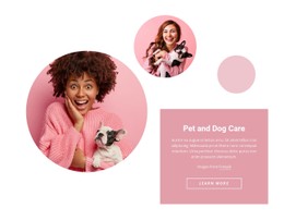 Cute CSS Templates