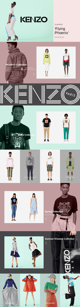 Zara collection WordPress Theme