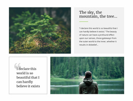 Forest Website Templates