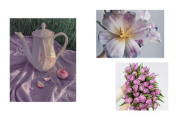 Flowers HTML Templates