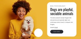 Pets & Animals Html Code Examples