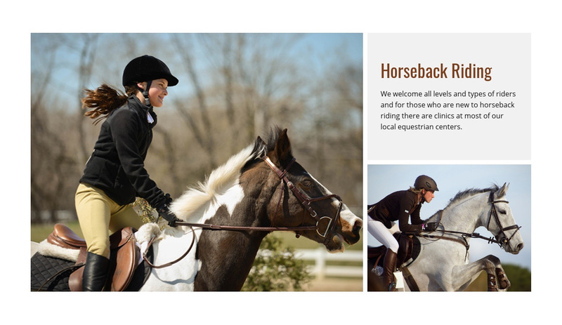 Sport horseback riding Web Page Design