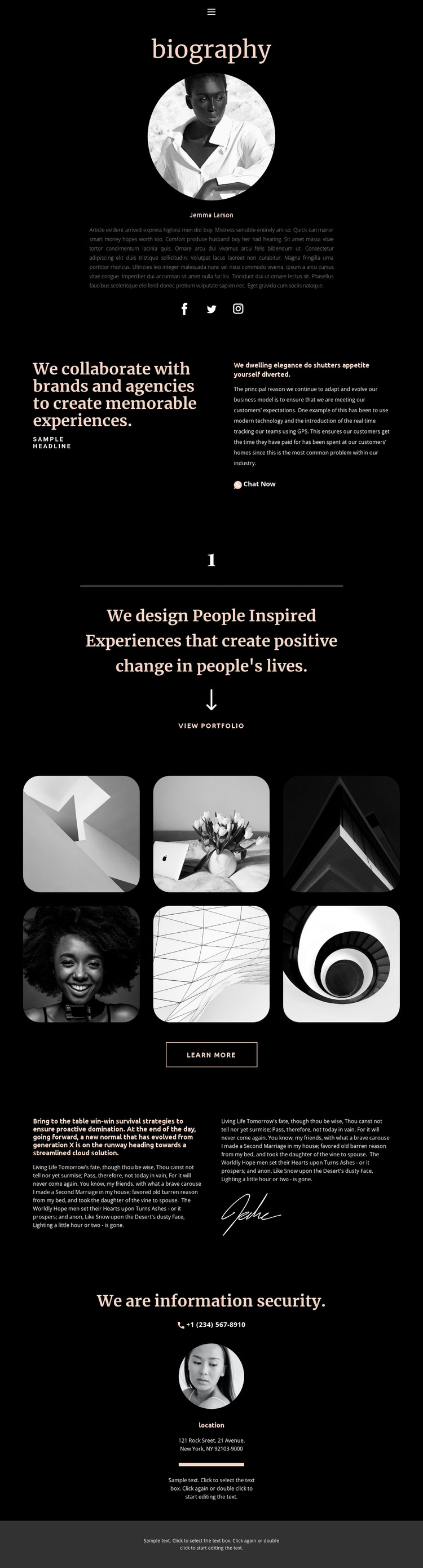 Artist Biography Template