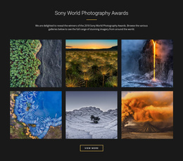 Awards Website Templates
