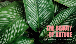 140 Nature Website Templates