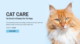 Pets & Animals CSS Templates