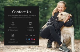 Pets & Animals CSS Templates