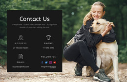 Dog Website Templates