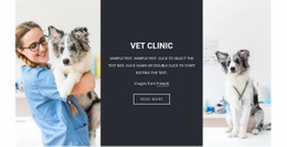 Pets & Animals Html Code Examples