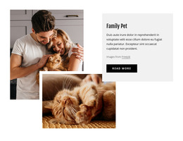 Dog school contacts HTML Template