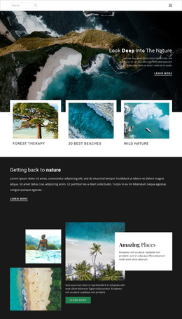 Exploring wildlife and nature Web Page Design