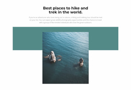 Forest landscape Website Template