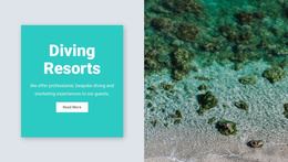Beach Website Templates